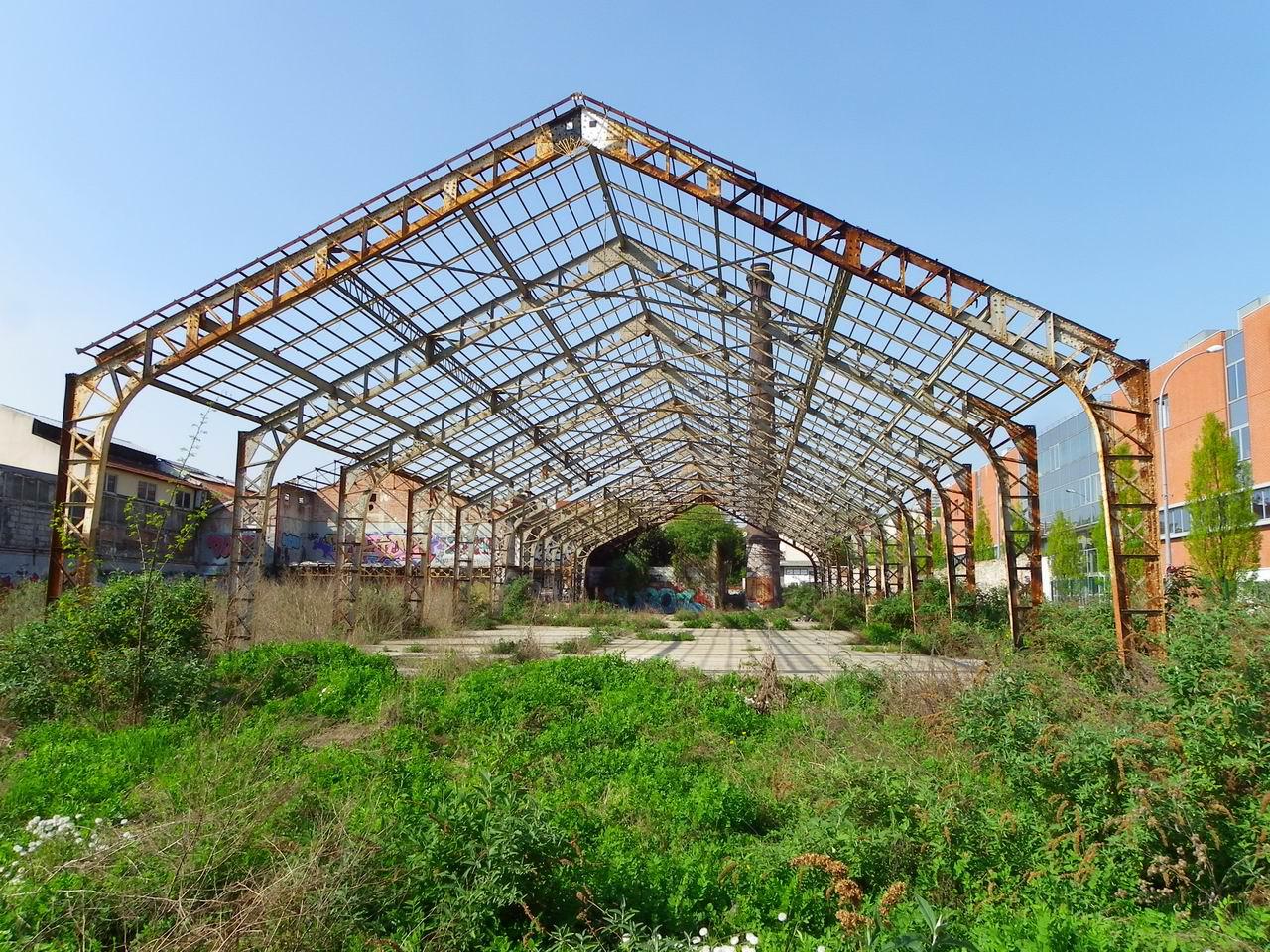 Sauvons les friches, oasis de nature sauvage - Ville Hybride